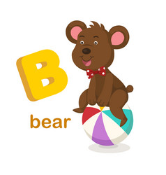 Alphabet isolated letter b-bear-ball Royalty Free Vector