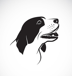 Vet wrapping dogs leg Royalty Free Vector Image