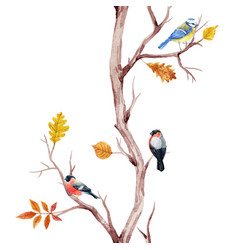 Fall trees and birds pattern Royalty Free Vector Image