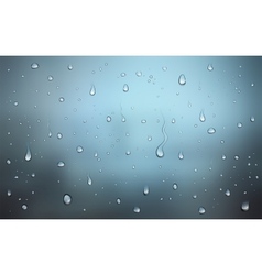 Realistic water rain drops on nature background Vector Image
