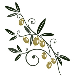 Olive vine decoration Royalty Free Vector Image