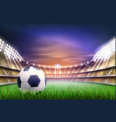 Realistic football soccer stadium background Vector Image