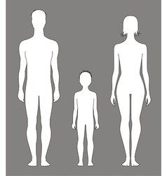 Human figure Royalty Free Vector Image - VectorStock