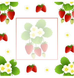 Red strawberry and flower frame on white Vector Image