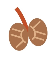 Testis Vector Images (over 540)