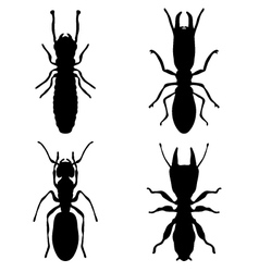 Termite Vector Images (over 2,000)