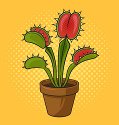 Plant predators such as venus flycatcher sundew Vector Image