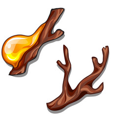 Sap Vector Images (over 320)