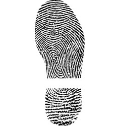 Fingerprint Royalty Free Vector Image - VectorStock