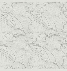 Seamless topographic map texture cartography Vector Image