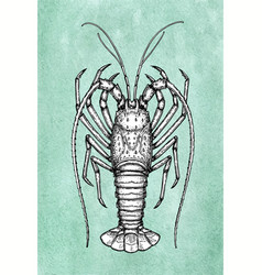 Ink sketch of lobster Royalty Free Vector Image