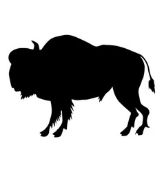 Buffalo side view Royalty Free Vector Image - VectorStock
