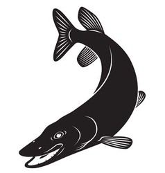 Pike jumps out water for spoon in style Royalty Free Vector