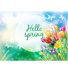 Bouquet with multicolor spring flowers Royalty Free Vector