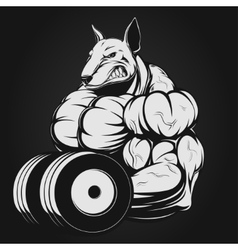 Angry dog bodybuilder Royalty Free Vector Image