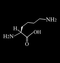 Amino acid lysine chemical molecular formula Vector Image