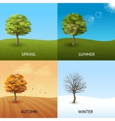 Twelve months of the year set four seasons nature Vector Image