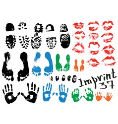 Imprint Vector Images (over 310,000)
