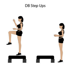 Step Up Exercise Vector Images (over 310)