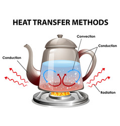 Heat transfer methods worksheet Royalty Free Vector Image