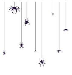 Spider web Royalty Free Vector Image - VectorStock