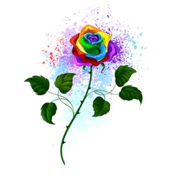 Colorful rainbow rose Royalty Free Vector Image