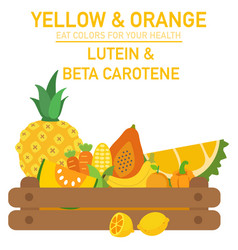 Eat colors for your health-red foodeat a rainbow Vector Image