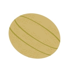 Rockmelon Vector Images (over 150)