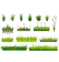Grassland Vector Images (over 3,600)