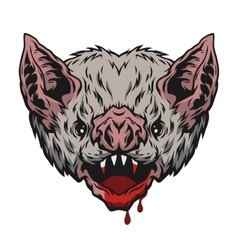 Angry head vampire bat Royalty Free Vector Image