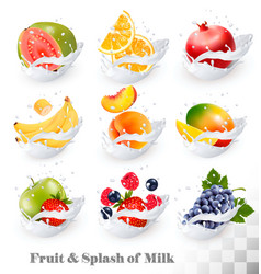 Big collection icons fruit in a milk splash Vector Image