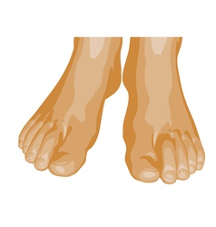 Feet Vector Images (over 21,000)