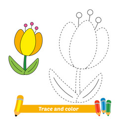 Trace and color for kids flower Royalty Free Vector Image