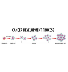 Cancer Development Vector Images (over 1,000)