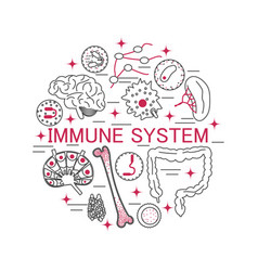 Immune system icon set Royalty Free Vector Image