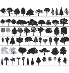 Trees bushes grass Royalty Free Vector Image - VectorStock