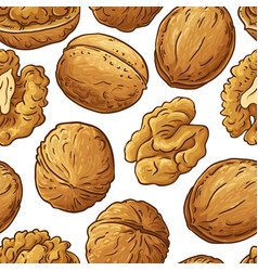 Walnut seeds set on white background Royalty Free Vector