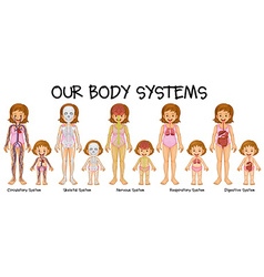 Diagram showing anatomy of human body with names Vector Image