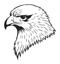 Eagle with sad eyes Royalty Free Vector Image - VectorStock