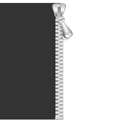Open closed zipper fly zip fastener clasp locker Vector Image