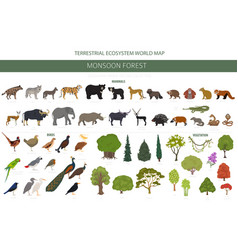 Monsoon forest biome natural region infographic Vector Image