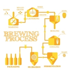 Beer brewing process infographic In flat style Vector Image