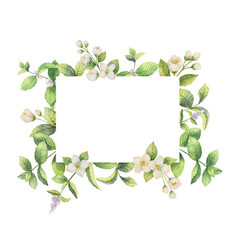 Watercolor frame of jasmine and mint Royalty Free Vector