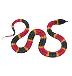 Python Royalty Free Vector Image - VectorStock