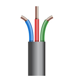 Three-core electric cable break with electric Vector Image