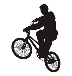 Bicycle rider Royalty Free Vector Image - VectorStock