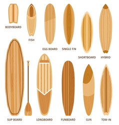 Different types of water boards set long Vector Image
