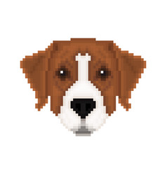 Dog cane corso head in pixel art style Royalty Free Vector