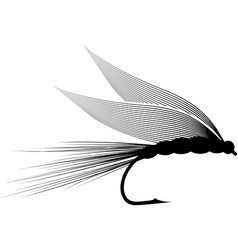 Dry fly Royalty Free Vector Image - VectorStock