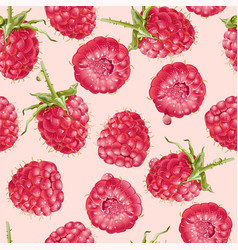 Berry seamless border Royalty Free Vector Image
